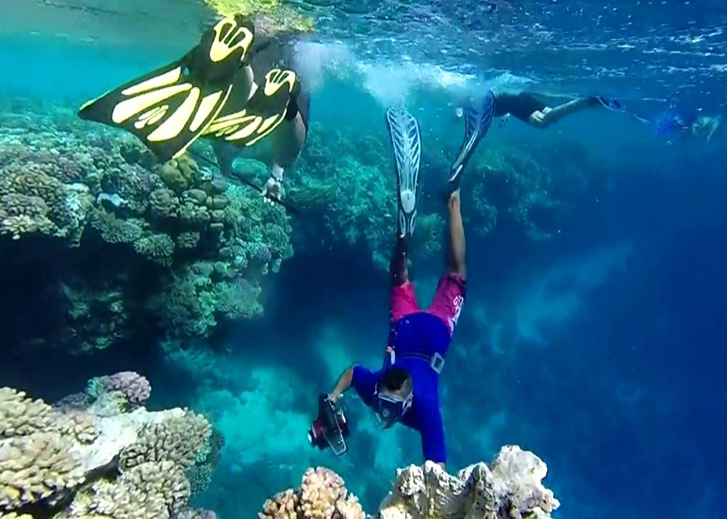 Snorkeling Trip red sea at Hamata Islands From Marsa Alam - Trip Chanel